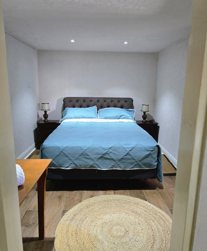 The Tropical Rose Apt A - Roseau