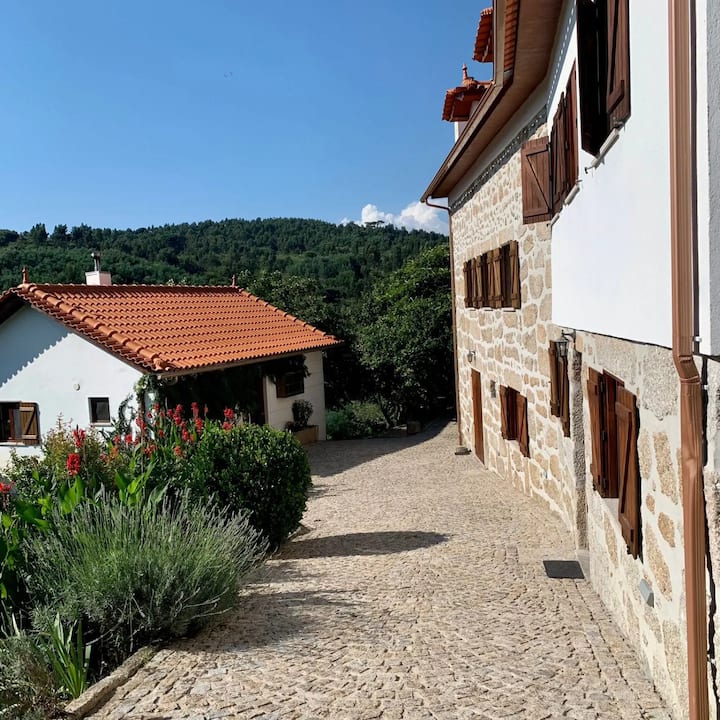 Family And Big Group Stays. - Carregal do Sal