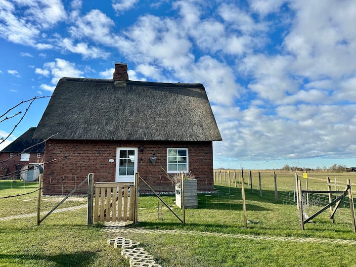 Haus Treibsel - Dagebüll