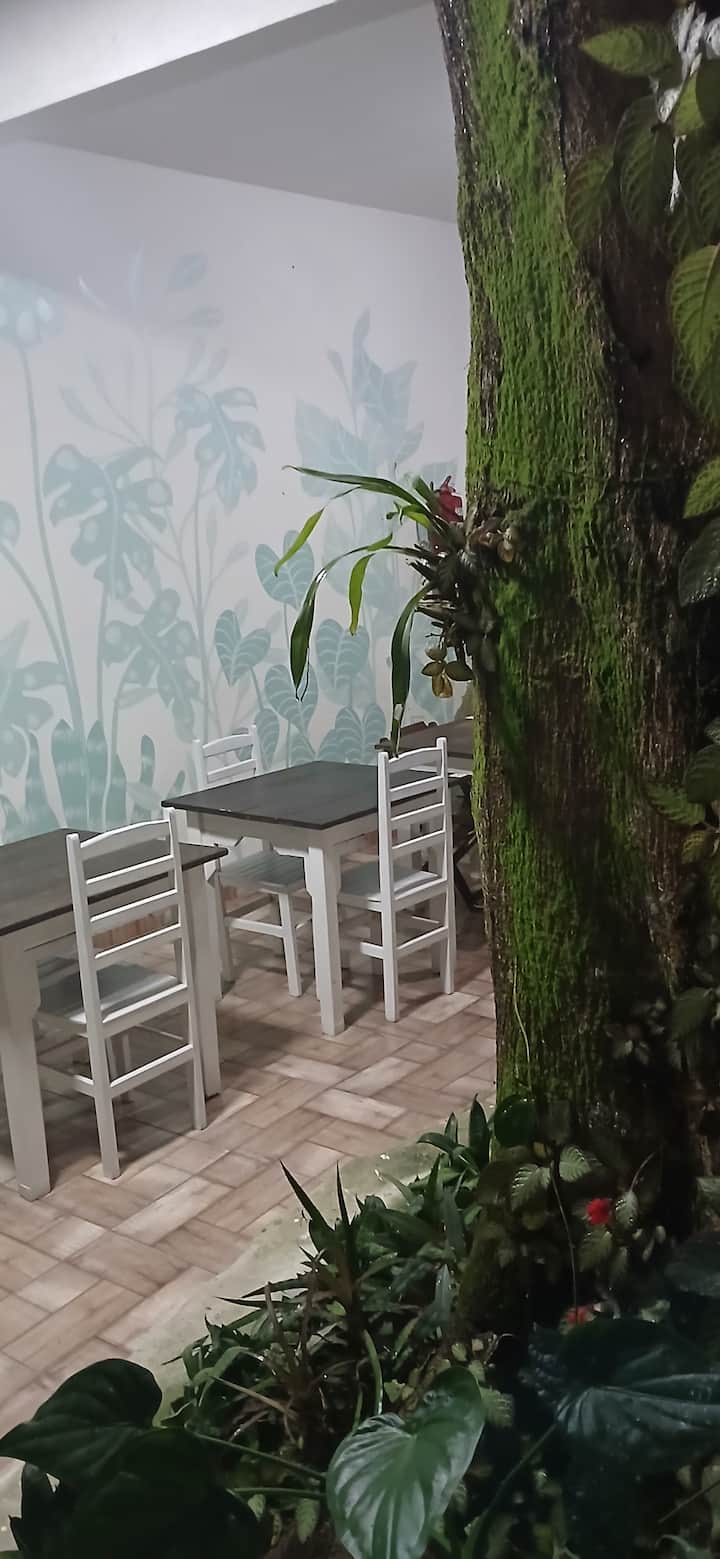 Toca Da Gata - Ilha Grande