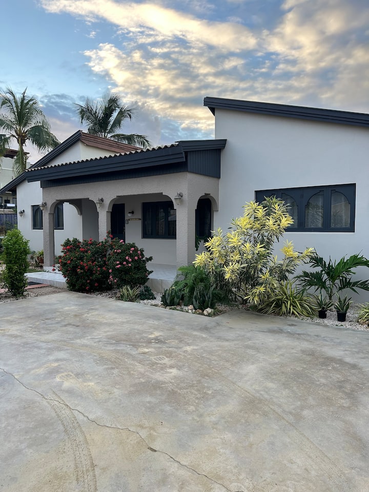 The Golden Shell - Aruba