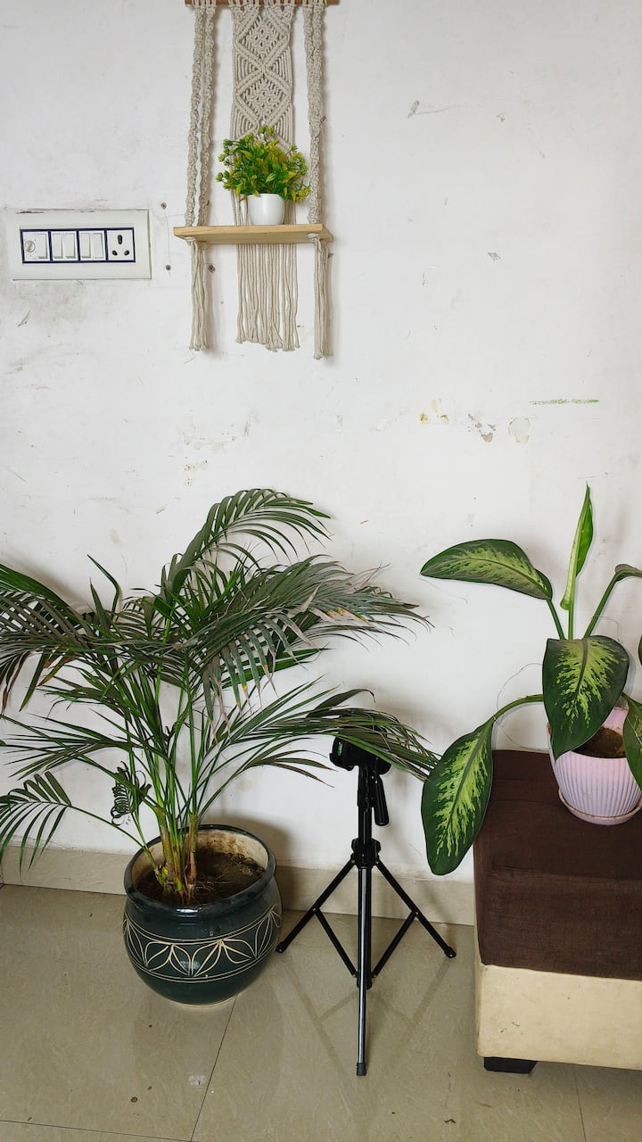 Room In A Apartment - Dhanbad