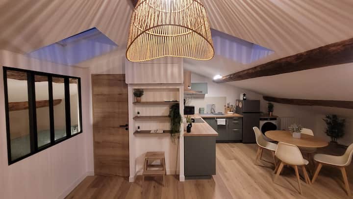 Vaste Et éLégant 2 Pièces Climatisé Proche Centre - Mâcon