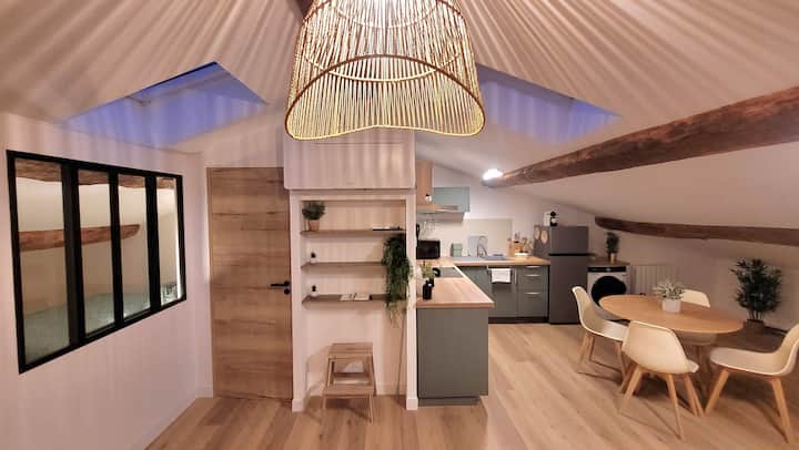 Vaste Et éLégant 2 Pièces Climatisé Proche Centre - Mâcon