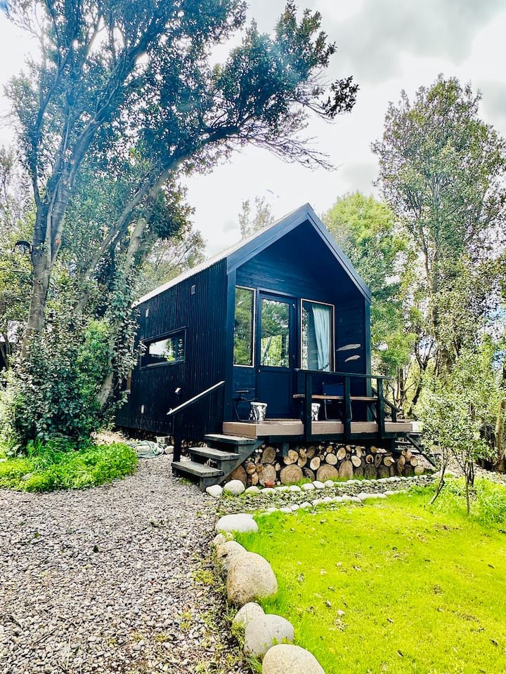 Radal - Encuentro Silvestre - Lago Lolog - チリ