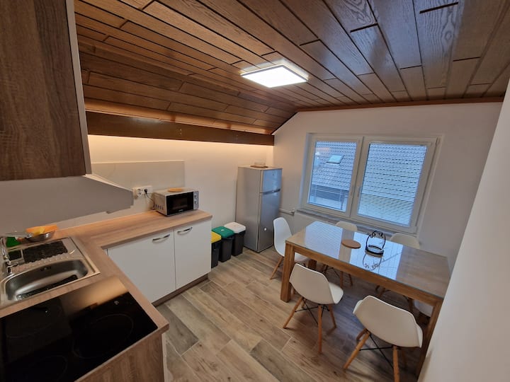 Nov Apartma Za šEst Do Osem Oseb - Bled