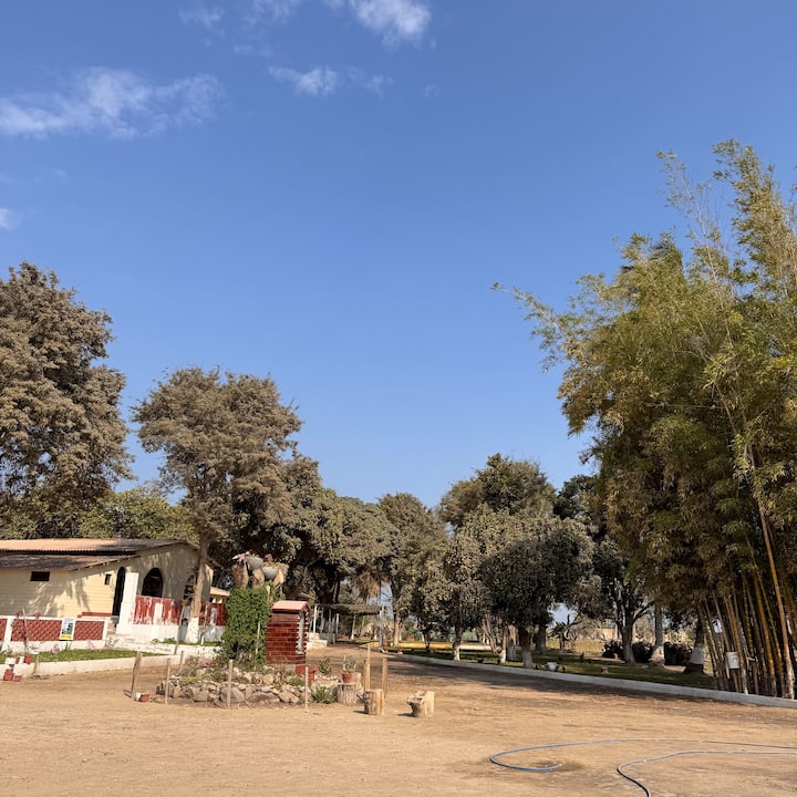 Fundo Las Palmeras - Tumán