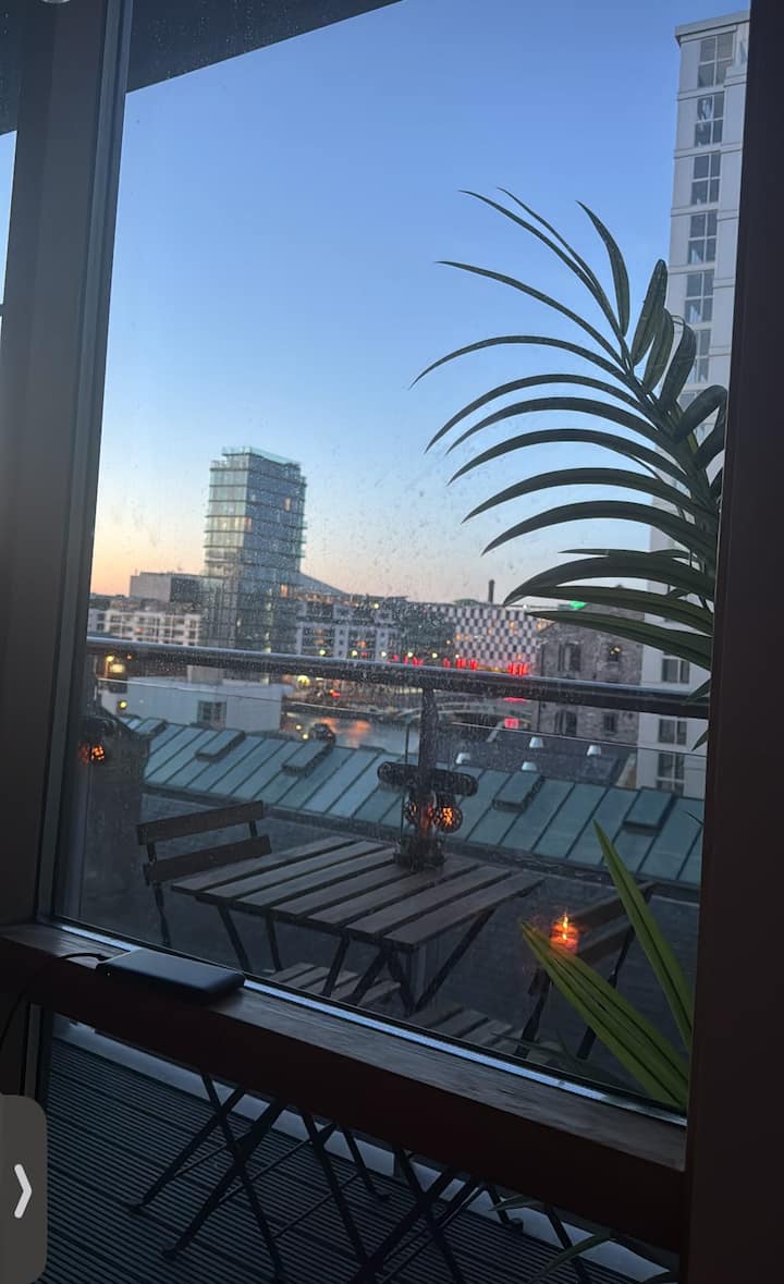 New Furnished Apartment - View Of Grand Canal Dock - Dublin