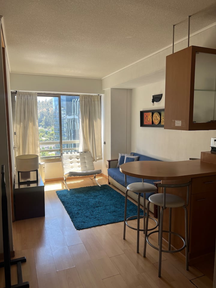 Dpto Av Vitacura, Las Condes - Las Condes