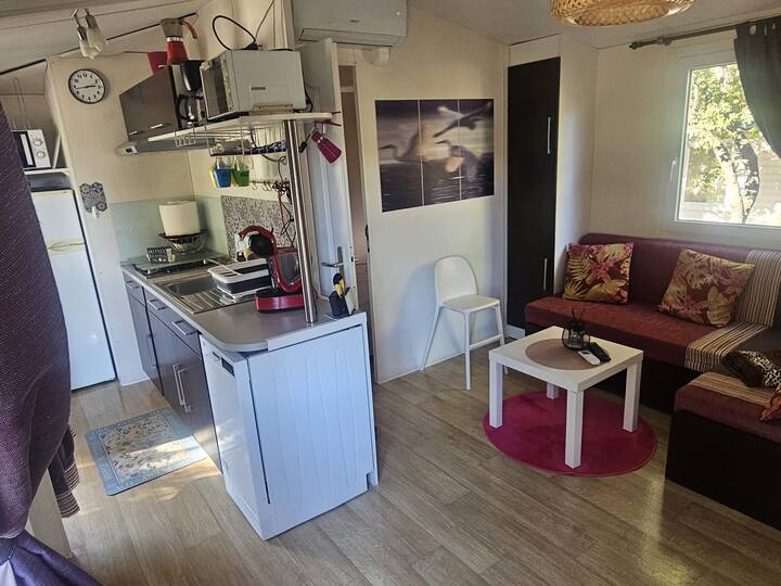 Mobil Home (Clim) 6p Camping Les Cigales Au Muy - Le Muy