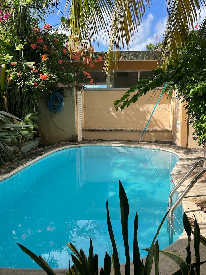 Villas Velarde - Estudio En El Centro De Cozumel - Cozumel