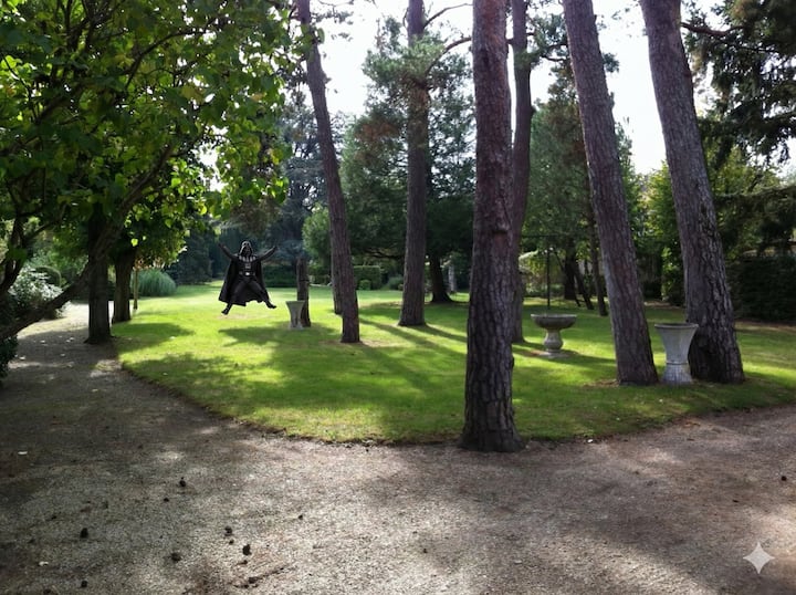 Escapade En Forêt à Fontainebleau: Se Ressourcer - Nemours