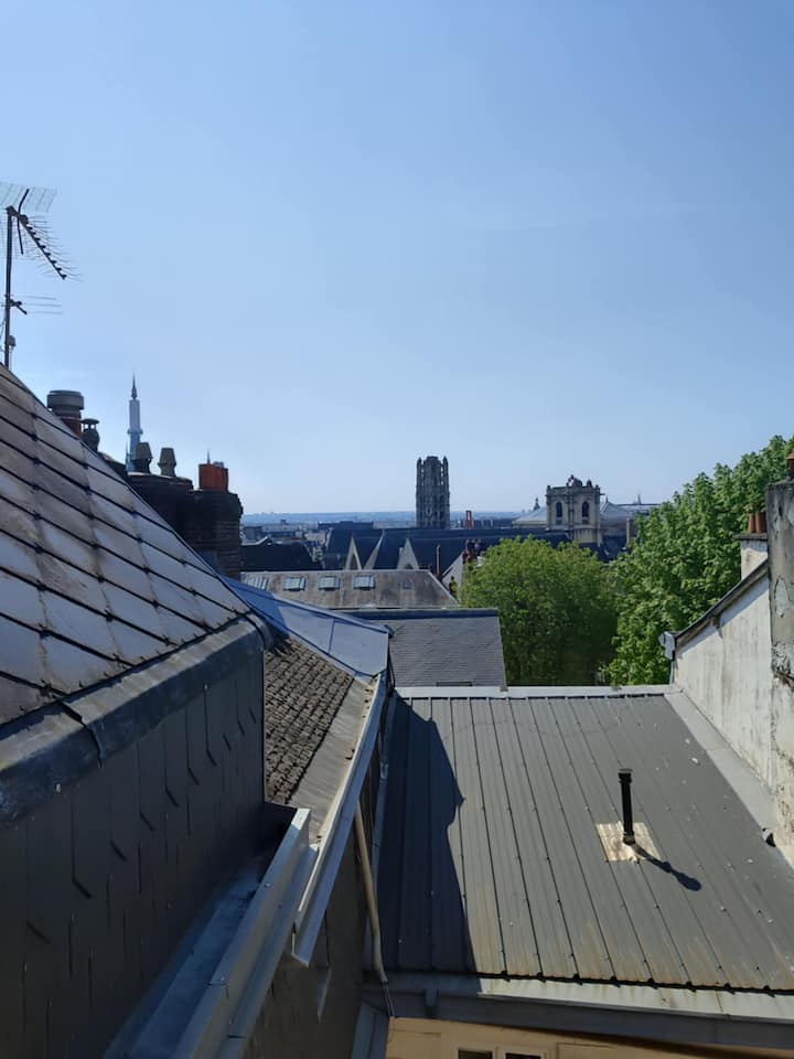 Appart Cosy Niché Sur Les Toits - Musée des Beaux-Arts de Rouen