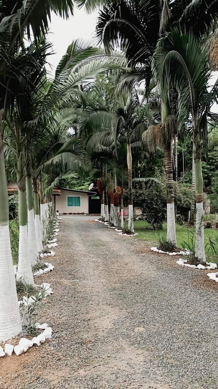 Palmenhaus - Pomerode