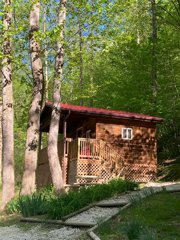 Sleepy Bear: Clamping Cabin On The River - Slade, KY