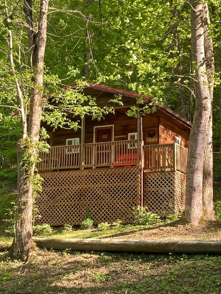 Sleepy Bear: Clamping Cabin On The River - Slade, KY
