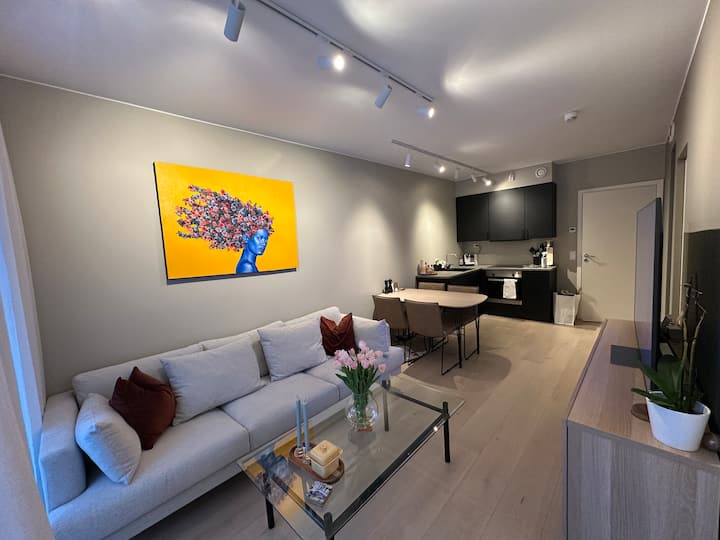 Koselig Leilighet Med Parkering - Trondheim
