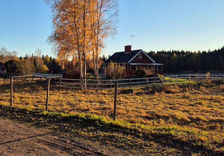 Charmig Stuga - Schweden