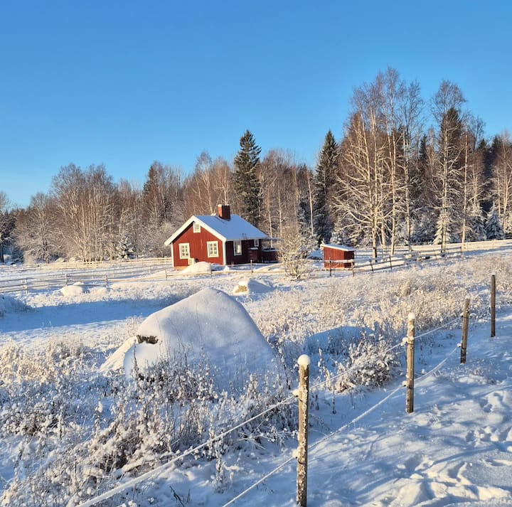 Charmig Stuga - Sweden