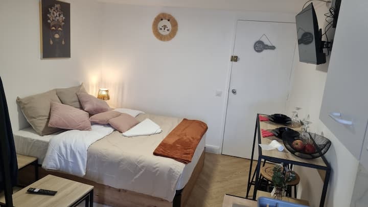 Le Cosy D'or Stade P. Mauroy, Parking Gratuit - Villeneuve-d'Ascq