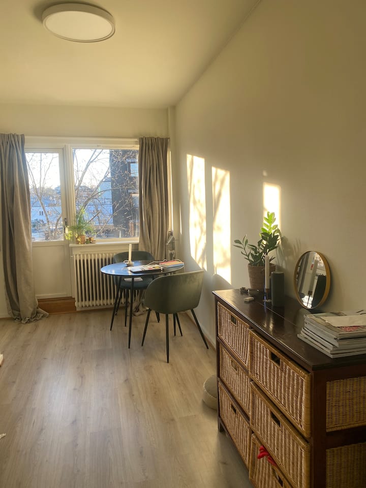Cozy 1-bedroom Apartment - Oslo