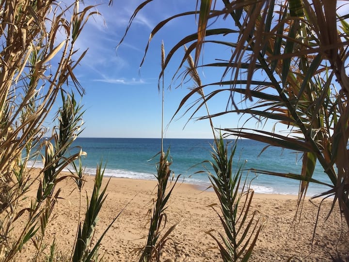 Appartement à 500 Mètres De La Plage Oura - Albufeira