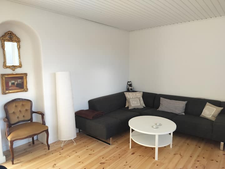 Lille Hyggelig Lejlighed - Odense