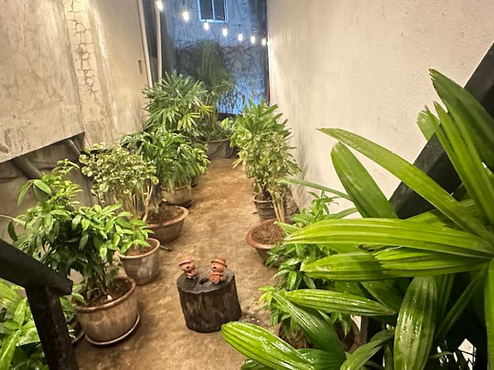 Green House Tại Hoàn Kiếm - Hanoi