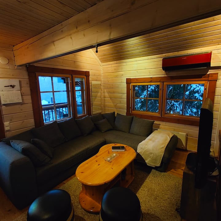 Villa Muuraja Porealtaalla - Jyväskylä