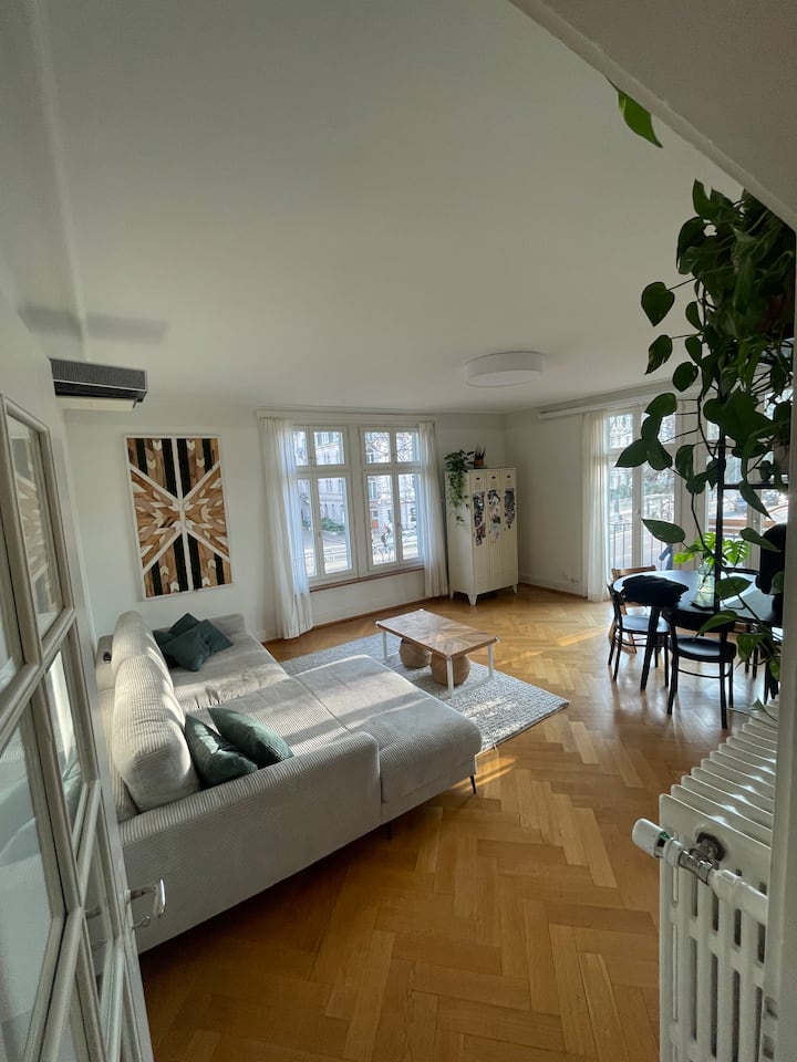 Stylische Stadtwohnung Direkt Am Park - Basel