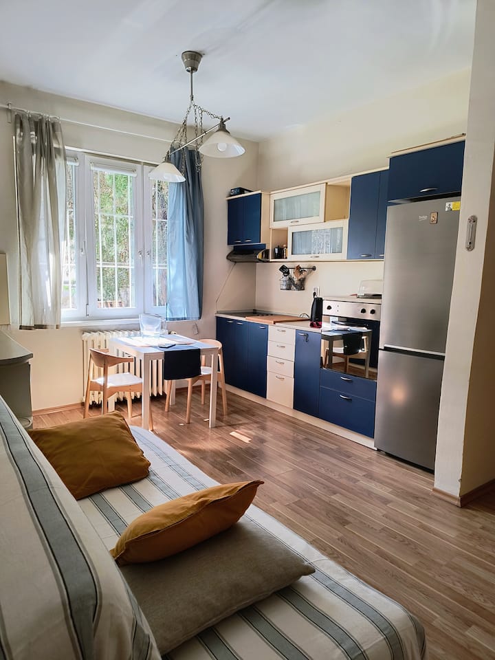 Sofia Central Ground Floor Apartment - Bulgaria