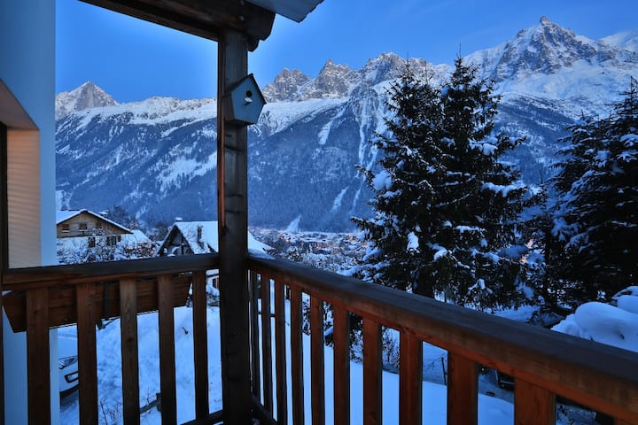 Nid Douillet Face Au Mont-blanc - Aiguille du Midi