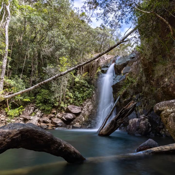 Fatima Cottage - Your Home Away From Home - Paluma Range National Park