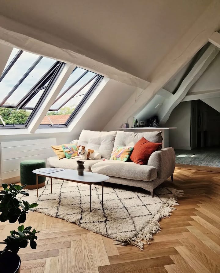 Vue Cathédrale. Charme Au Cœur De Bayonne. - Arcangues