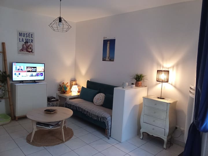 Charmant T2 Duplex Au Cœur De Sète - Sète