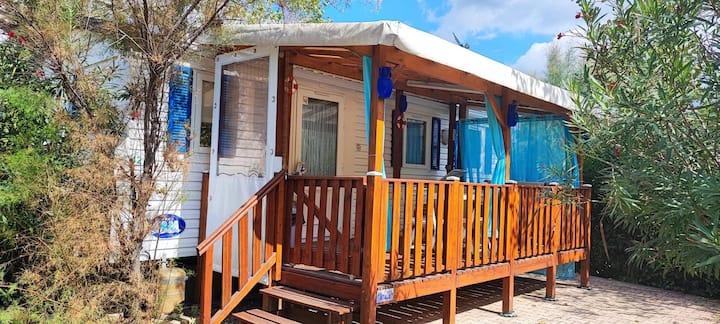 Toad&frog, Le Spot Fun D'agde En Bord De Mer - Agde