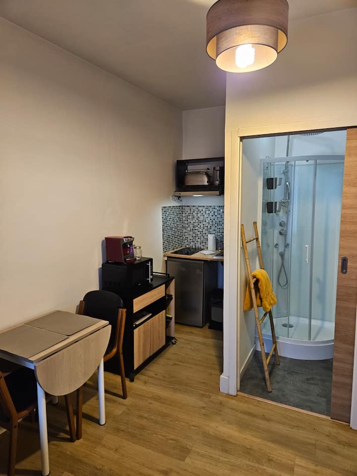 Studio Cosy En Plein Cœur De Laval - Laval, France