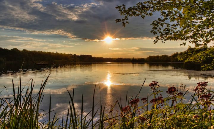 Condo Centre Ville - Sherbrooke