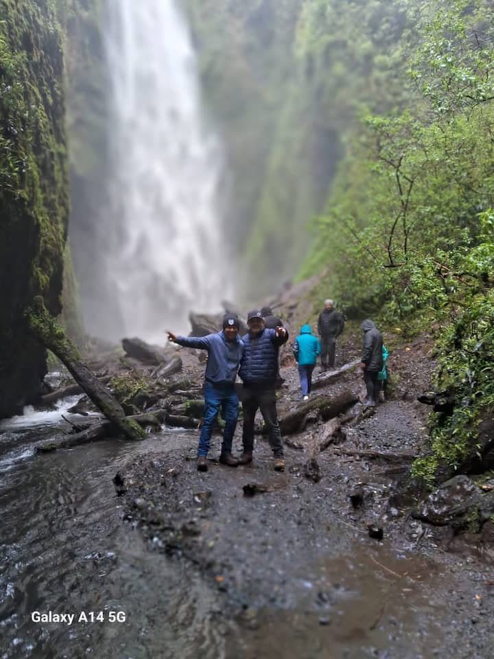 Cabañas Con Naturaleza Pura - Panguipulli