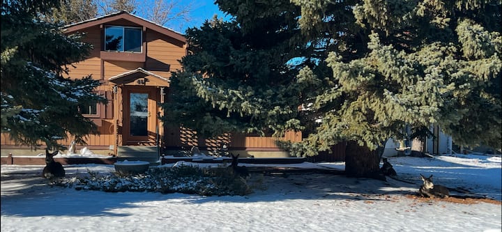 Spacious Quiet Cabin Home In West Lethbridge - レスブリッジ