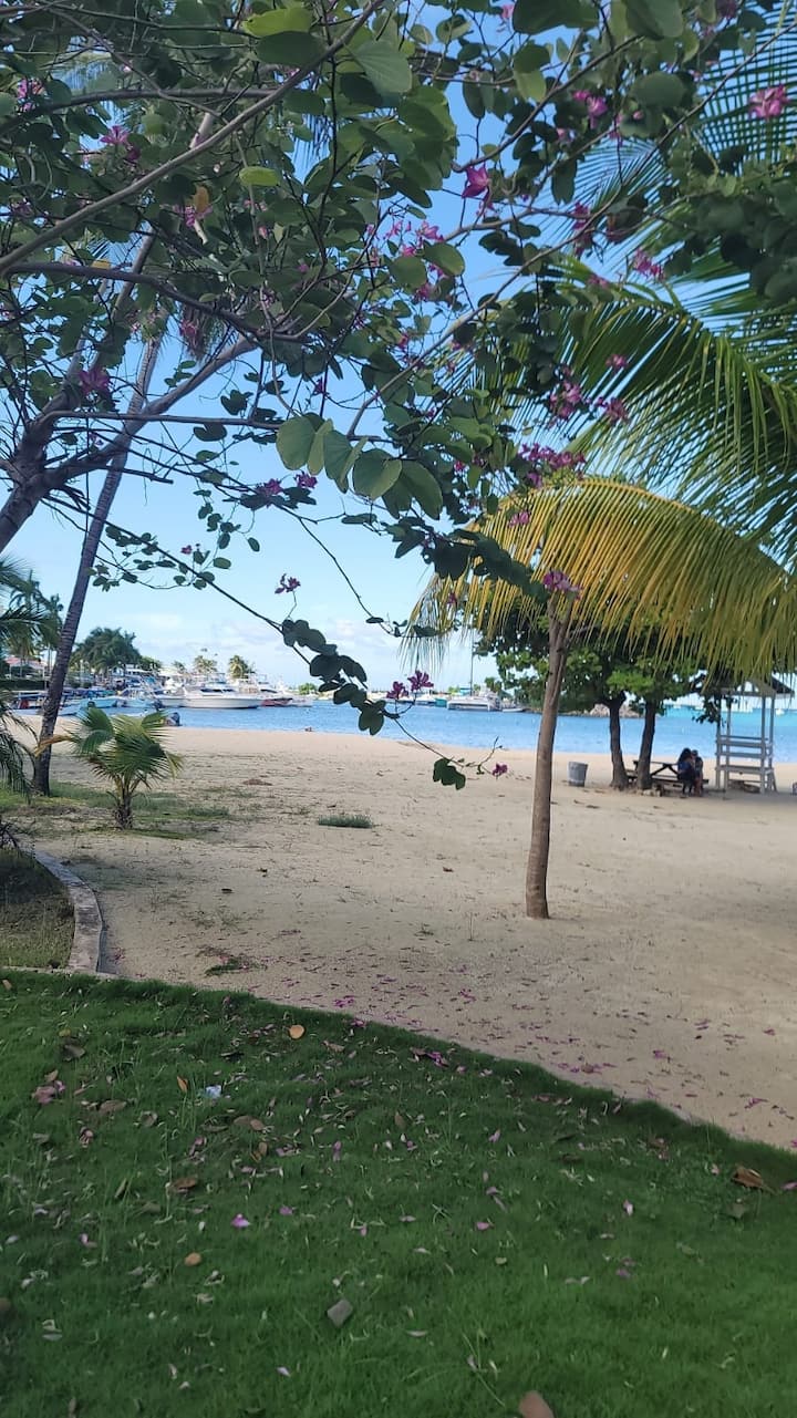 Home Away From Home With 24 Hr Security - Ocho Rios