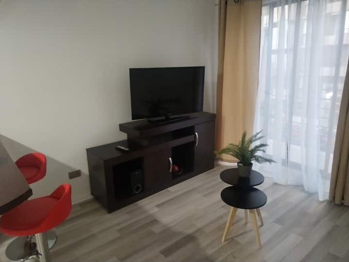 A Pasos: Metro Y Movistar Arena - Santiago, Chile