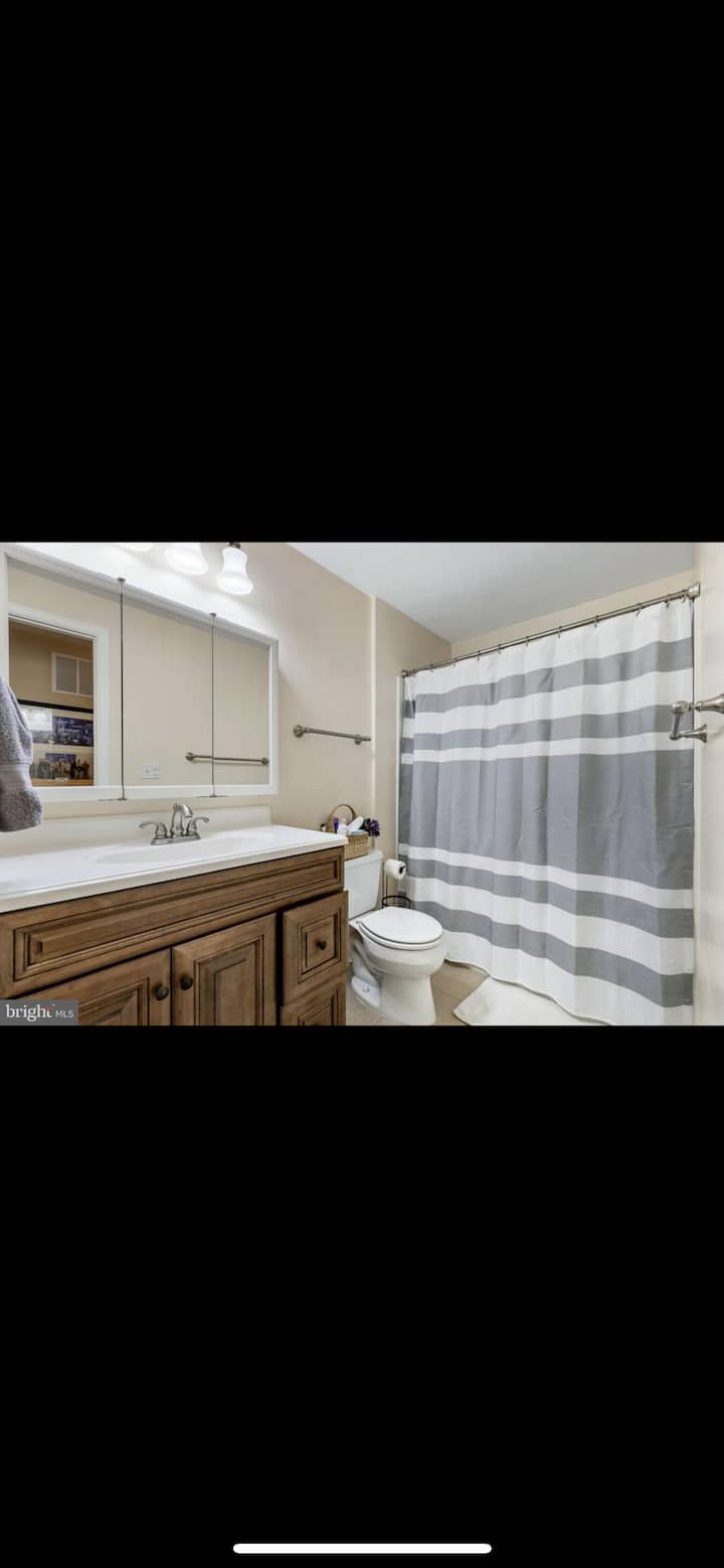 Two Bedroom Cozy Apartment! - Stafford, VA