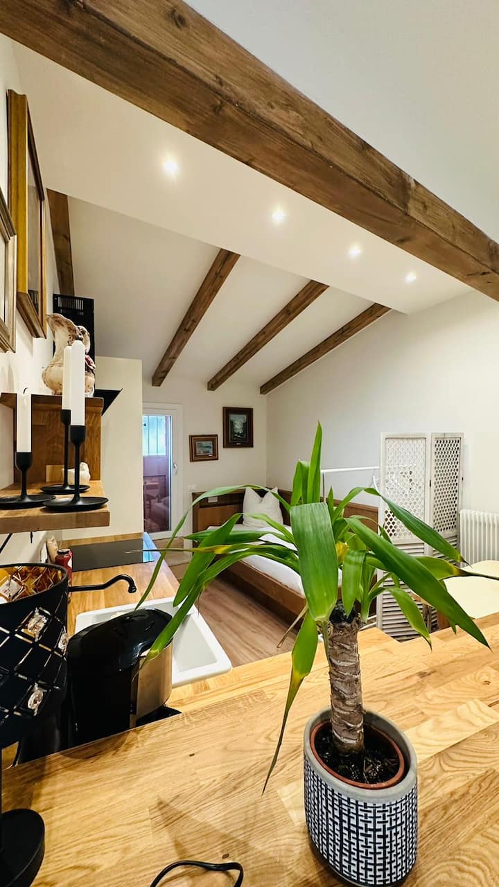 Apartment Am Monte Grappa - Bassano del Grappa