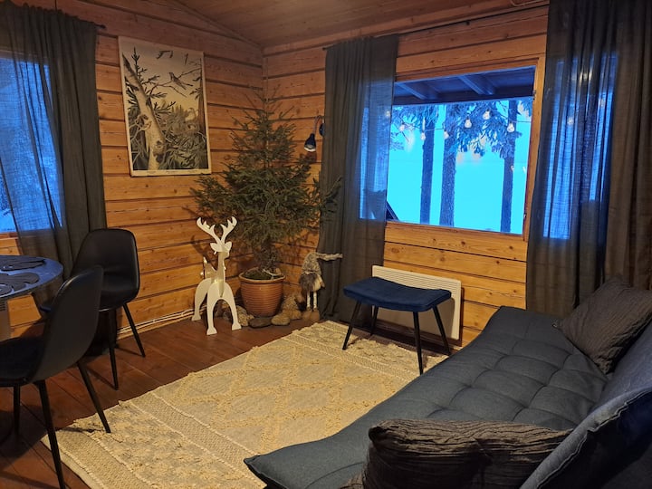 Blue Moment - Forest Magic At The Lakeside - Finnland