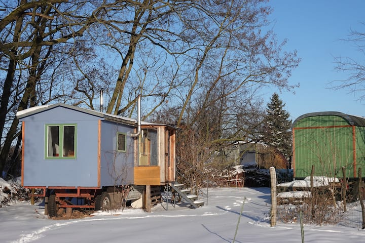 Tinyhouseduo Im Spreewald - Lübbenau/Spreewald