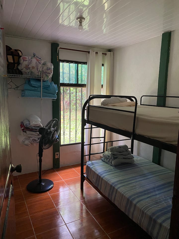 Bosques De Osa - Palmar Norte