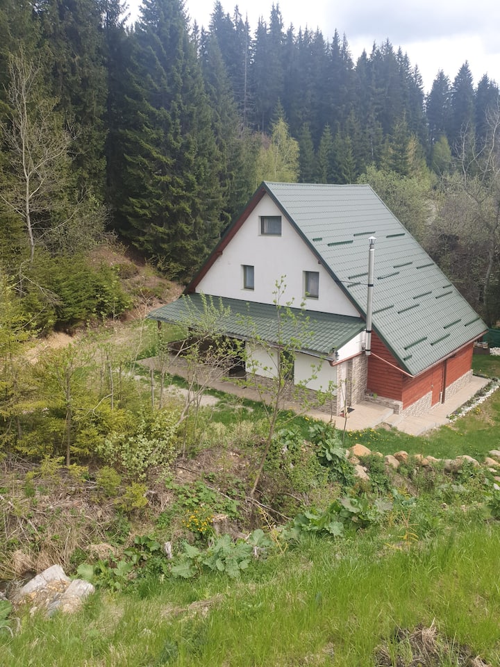 Star Panzió - Csíkszereda