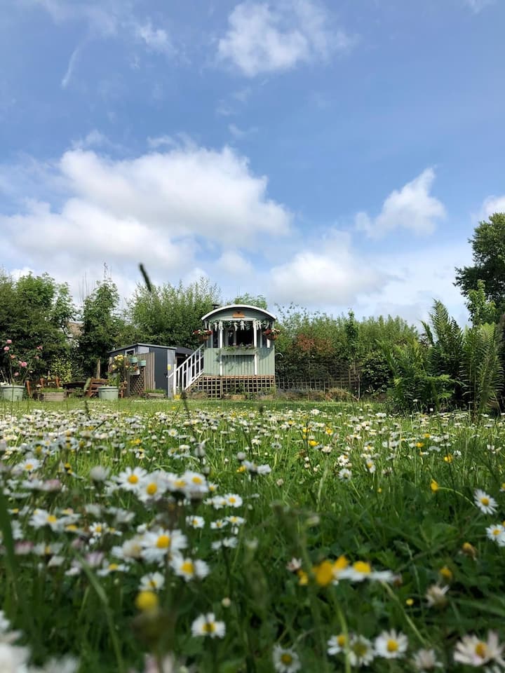 The Bee's Wing Shepherds Hut - Bodmin