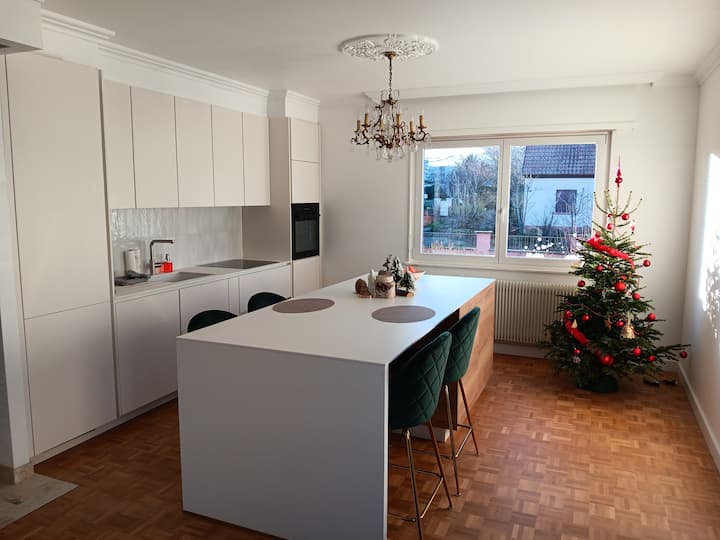 Maison Avec Jardin - Colmar